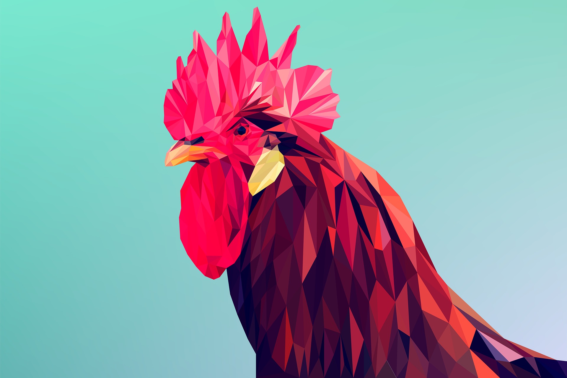 Here They Come To Snuff The Rooster Blog By Dr Charlie Ross D C Here They Come To Snuff The Rooster Blog By Dr Charlie Ross D C
